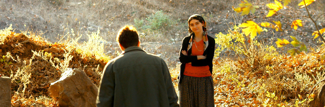 The Wild Pear Tree – Film Review – No More Workhorse