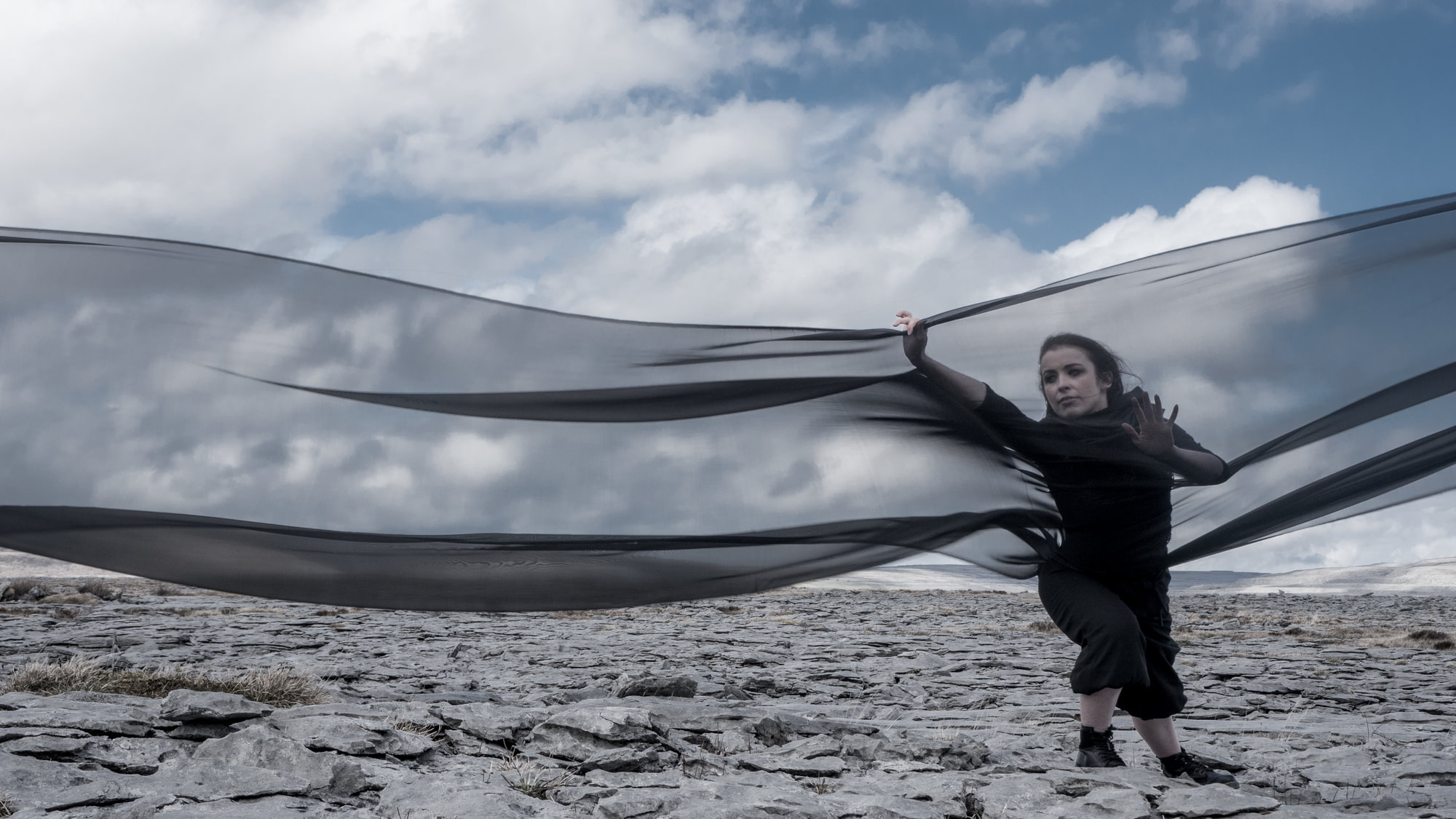 IN LiMBO – Project Arts Centre – Review – No More Workhorse