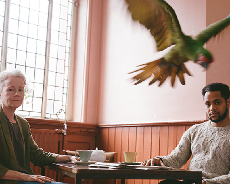 Absent the Wrong – Dublin Fringe Festival – Review – No More Workhorse